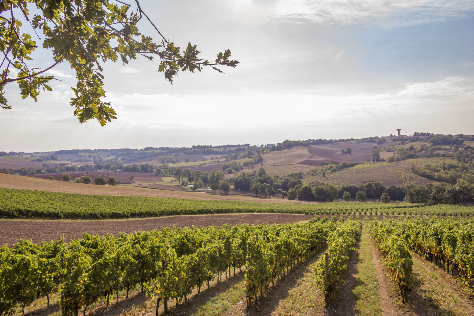 Le Tarn - Office de Tourisme Vallée du Tarn